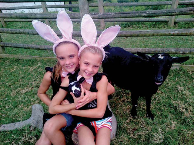 Animal Farm | The Bugle - Weekly Community Magazine, Tabloid